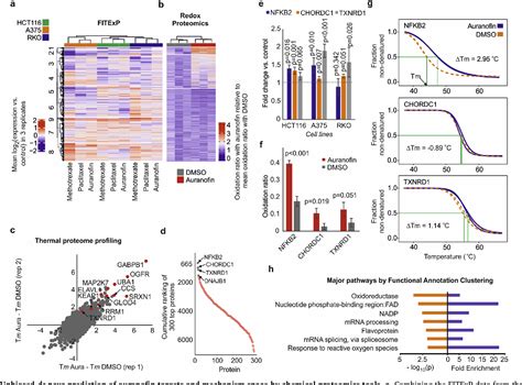 Figure 2 From Comprehensive Chemical Proteomics For Target Deconvolution Of The Redox Active