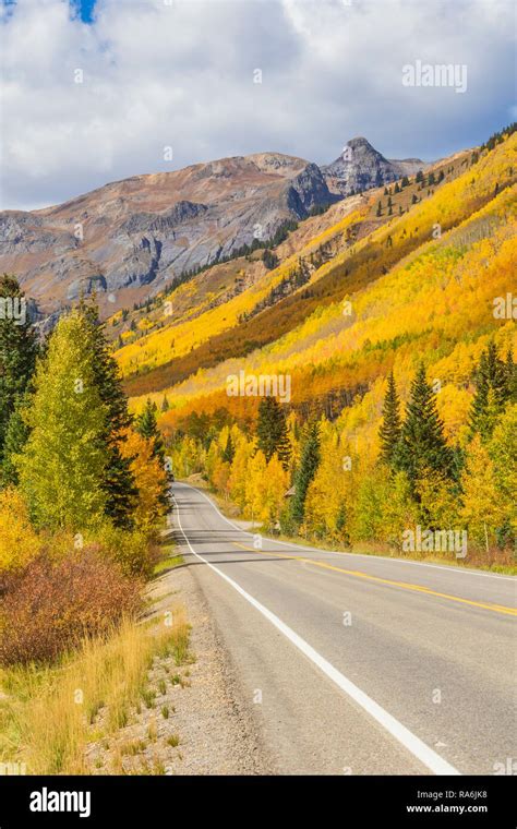 Aspen Trees And Autumn Color Along Us Highway 550 The Million Dollar