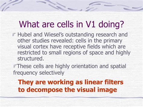 Ppt Gabor Filter A Model Of Visual Processing In Primary Visual Cortex V1 Powerpoint