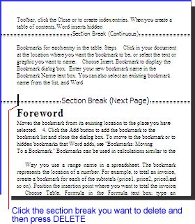 Deleting Section Break Word Holoserangry