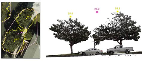 Object Extraction From Mobile Lidar Point Clouds With Machine Learning By Dmitry Kudinov