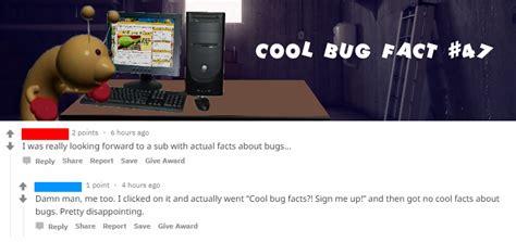 Cool Bug Facts Rcoolbugfacts