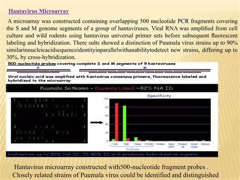 Dna Microarray Technique For Detection And Identification Of Virus Ppt