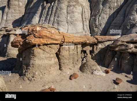 Classic American Landscapes Bisti Wilderness In Nw New Mexico Is An
