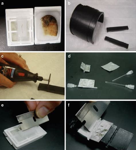 Preparation And Use Of The Biopsy Tissue Microarray Template A Color