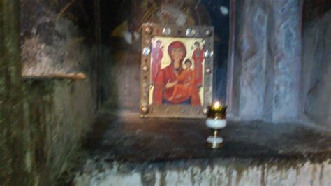 სვეტი ცხოველი Youtube