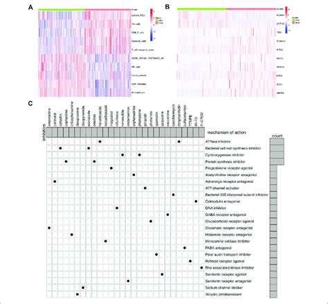 Identification Of Marker Genes And Candidate Compounds Notes A B Download Scientific