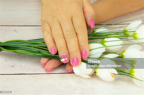 여자 분홍색 백색 꽃의 부케와 함께 손톱에 매니큐어의 여성 손 손톱에 그림 장식 핑크 네일 디자인 배경 소박한 밝은 테이블입니다