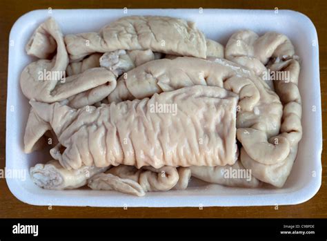 Raw Pigs Intestine Or Chitterlings Ready For Cooking An Example Of