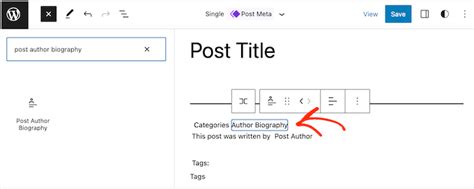 how to display blog post meta data in wordpress themes
