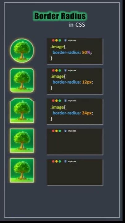 Border Radius In Css Css Coding Programming Shorts Youtube