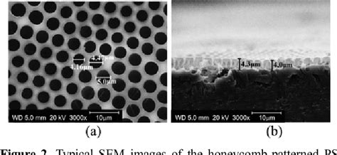 Figure 2 From Preparation Of Honeycomb Patterned Polyaniline Mwcnt Polystyrene Composite Film