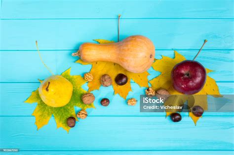 사과 배와 호박에 누워의 상위 뷰 블루 나무 책상에 호두와 밤 나뭇잎 가을에 대한 스톡 사진 및 기타 이미지 가을 가을 단풍 감 Istock