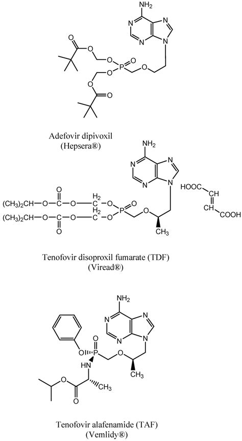 Prodrugs Of Pmea Adefovir And R Pmpa Tenofovir Download