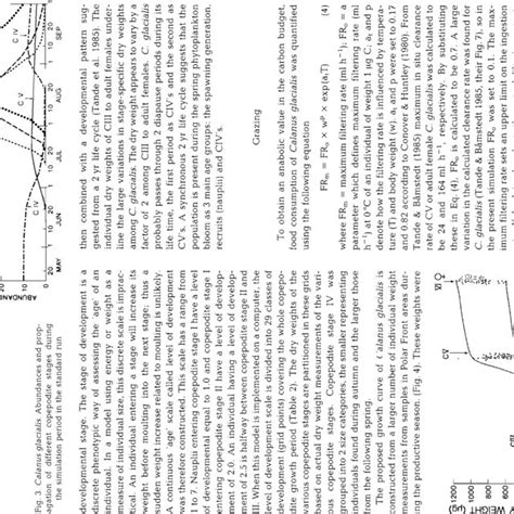 Calanus Glacialis Proposed Growth Curve Based On A Biennial Life Cycle Download Scientific