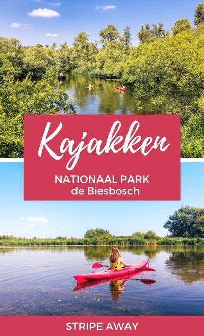 Kajakken In Nationaal Park De Biesbosch Stripe Away Kajakken Nationale Parken Nationale