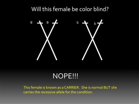 Ppt Sex Linked Traits Powerpoint Presentation Free Download Id1986457