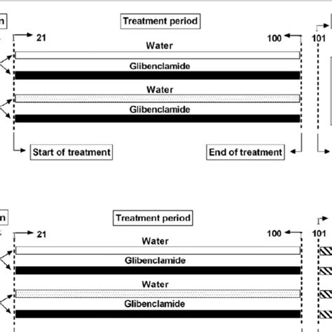 Schematic Representation Of The Experimental Protocol Download Scientific Diagram