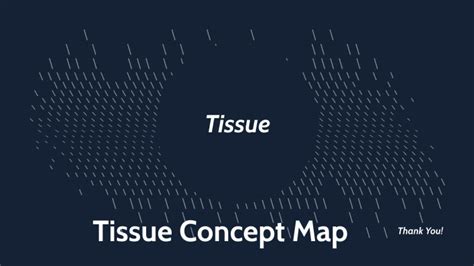 Tissue Concept Map By Connor Jacobson On Prezi