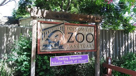 Folsom City Zoo Sanctuary All You Need To Know Before You Go 2025