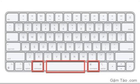 Cách Tìm File Theo Loại Và Tiện ích Mở Rộng Trên Máy Mac