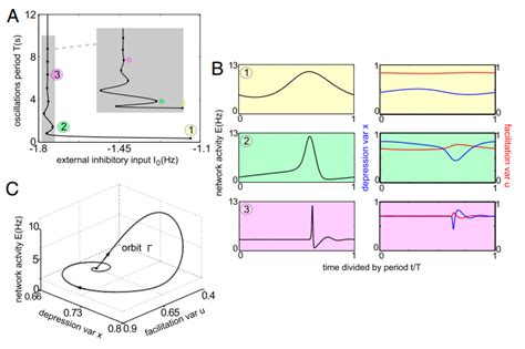 Modular Structure Of High Order Interactions In The Human Brain Jesus Cortes