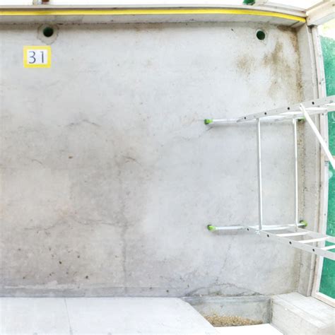 Broiler Chicken Object Detection Model By GEL