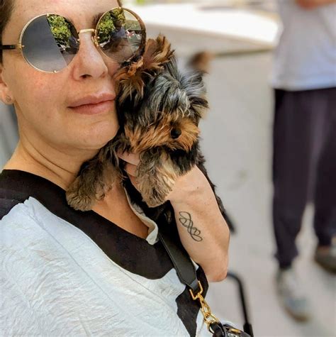 იოში იორკშირელი პრინცი