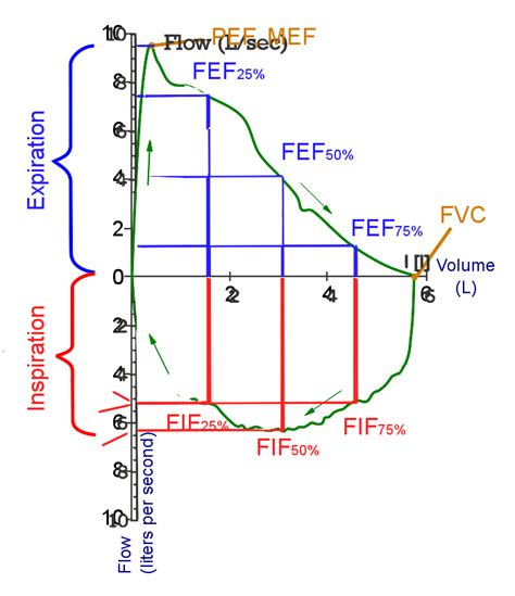 ملف Flow Volume Loop Svg المعرفة