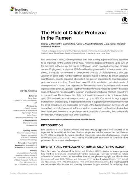 Pdf The Role Of Ciliate Protozoa In The Rumen
