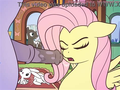 Porn Cartoon With Unicorns Having Sex In An Orgy Cnn Amador