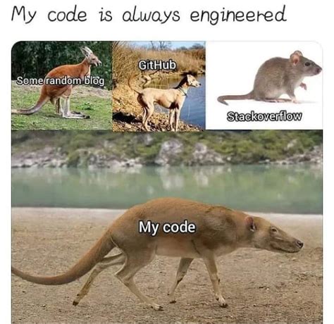 Codingkovalu Code Coder Coderlife Programming Programmer