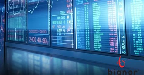 Стартира първичното публично предлагане на “Бианор Холдинг” АД Btv Новините