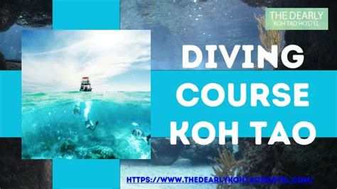 ppt scuba diving in koh tao the dearly koh tao powerpoint