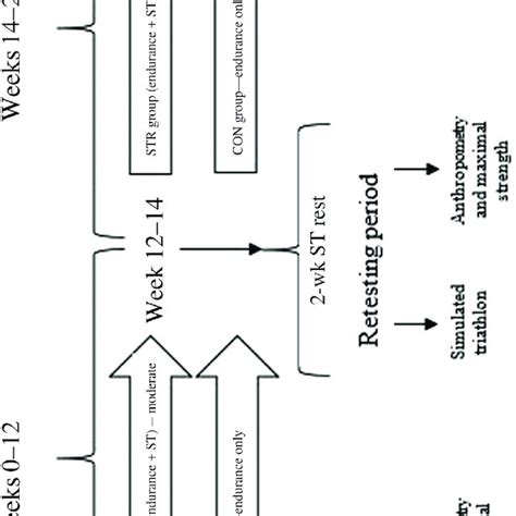Timeline Of Testing And Intervention Anthropometry Testing Indicates