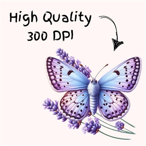 Lavender Butterfly Clipart Bundle 18 Png Watercolor Cute Purple