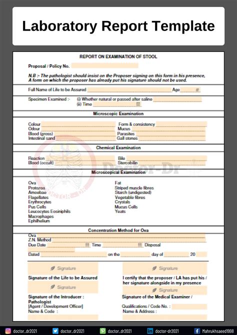 Routine Stool Examination Macroscopic And Microscopic Analysis For Diagnosis