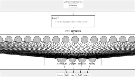 neural network classifier after the convolution and pooling were download scientific diagram