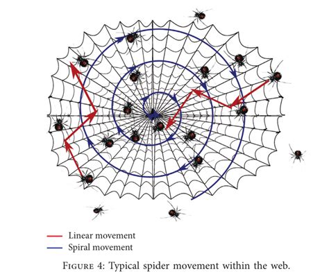 【智能优化算法】黑寡妇优化算法 black widow optimization algorithm bwoa csdn博客