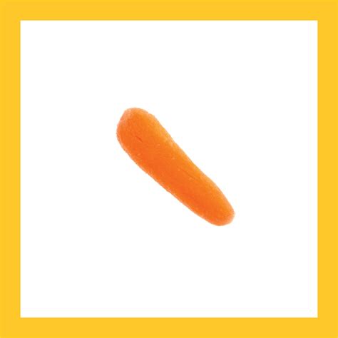 The 21 Different Kinds Of Penises You Might Encounter In Life