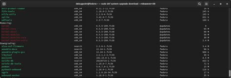 Upgrade To Fedora From Fedora Workstation GUI And CLI