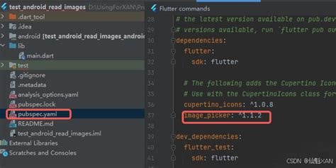 flutter 学习之旅 之 flutter 在 android 端读取相册图片显示 flutter 访问相册 csdn博客