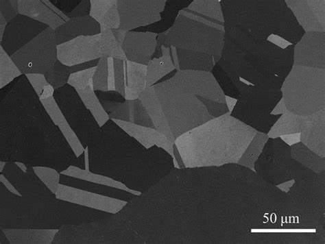 Metallographic Microstructure Of The Cg 310s Austenitic Stainless Steel Download Scientific