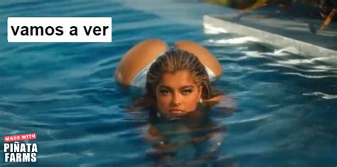 Bebe Rexha Pool Memes Pi Ata Farms The Best Meme Generator And Meme