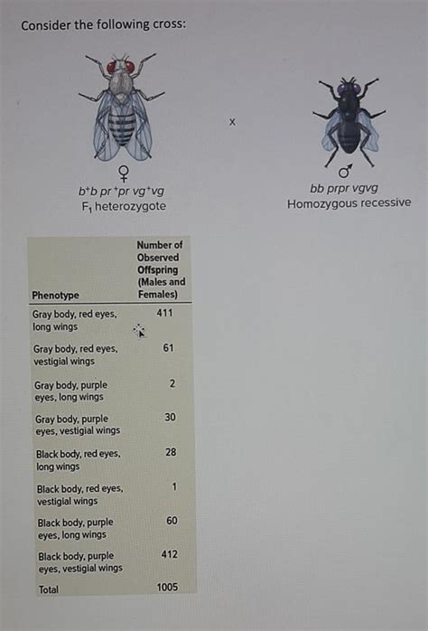Solved 2 In This Example We Will Consider Fruit Flies That