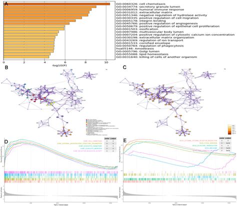 Identification Of Three Hub Genes Related To The Prognosis Of