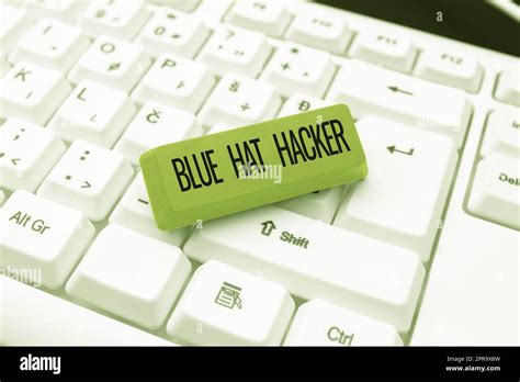 Conceptual Display Blue Hat Hacker Business Overview Person Consulting