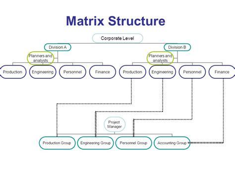 Organization Structure Ppt Video Online Download
