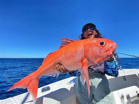 Scott S Species Ruby Snapper A Prize From The Depths Recfishwest