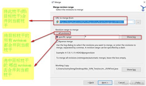 tortoisesvn打分支、合并分支、切换分支 详解 svn分支 csdn博客